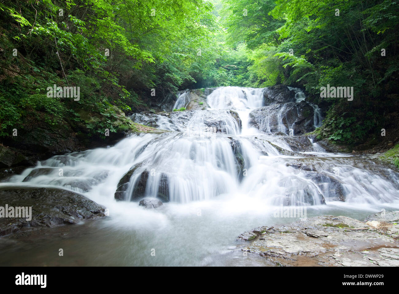 Stream in Karuizawa, Nagano Prefecture, Japan Stock Photo - Alamy