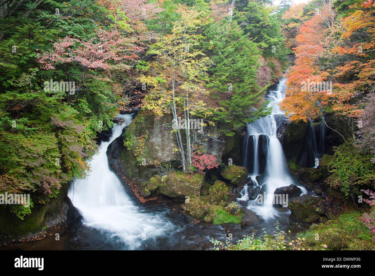 Waterfall and autumn leaves, Tochigi Prefecture, Japan Stock Photo - Alamy
