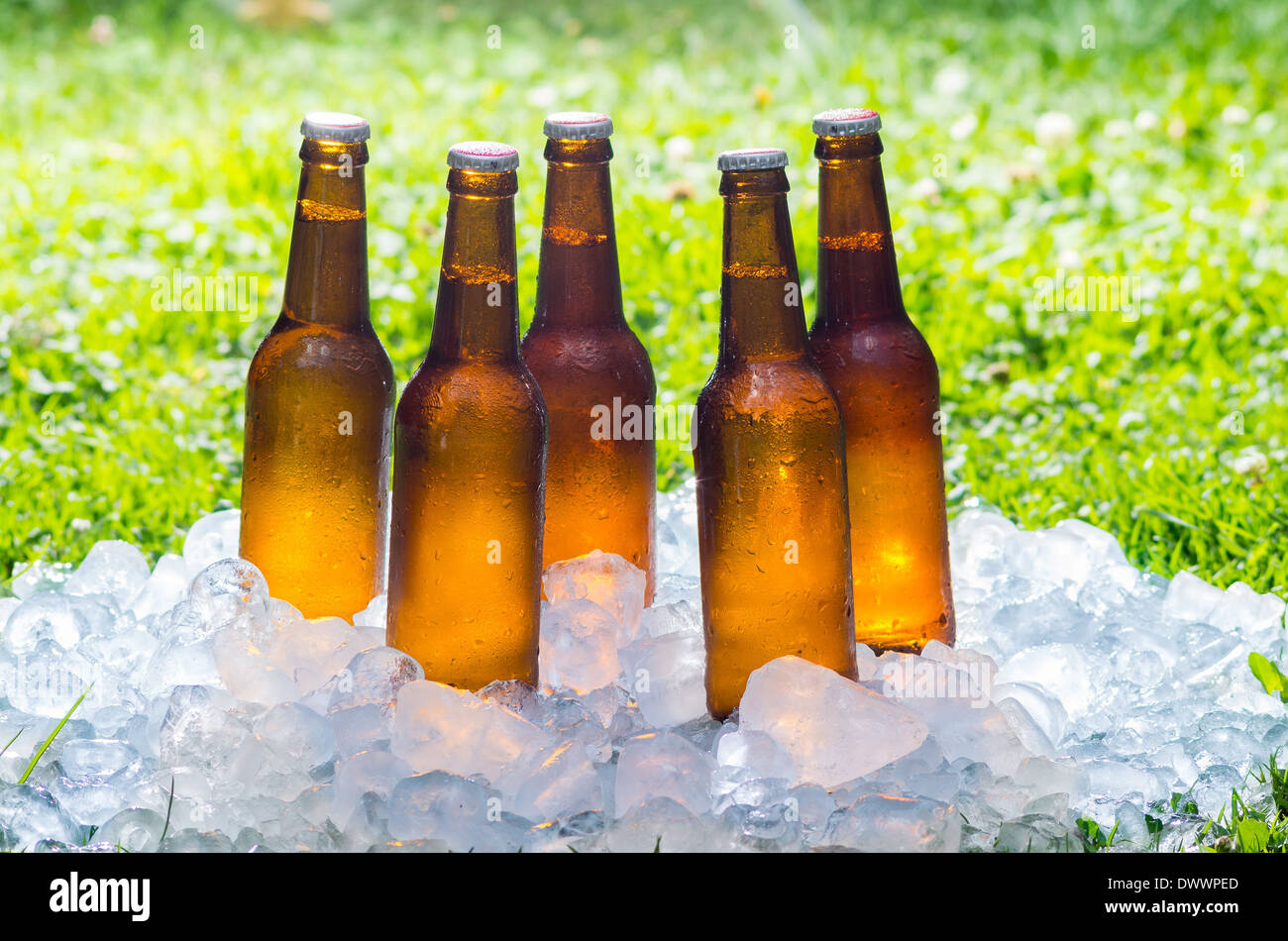 beer in a pile of ice outside Stock Photo - Alamy