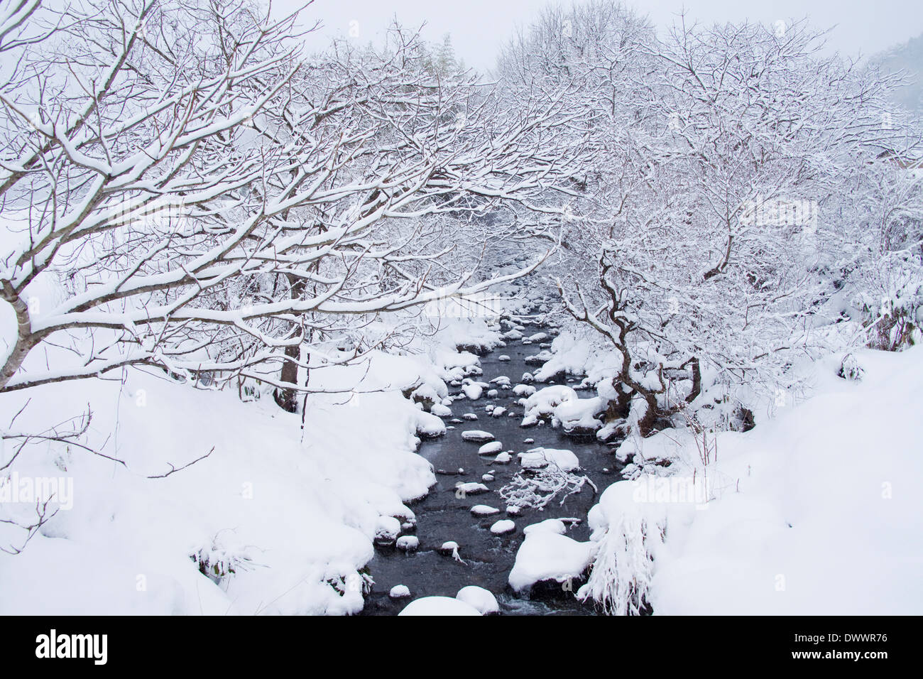 Winter landscape, Gunma Prefecture, Japan Stock Photo - Alamy
