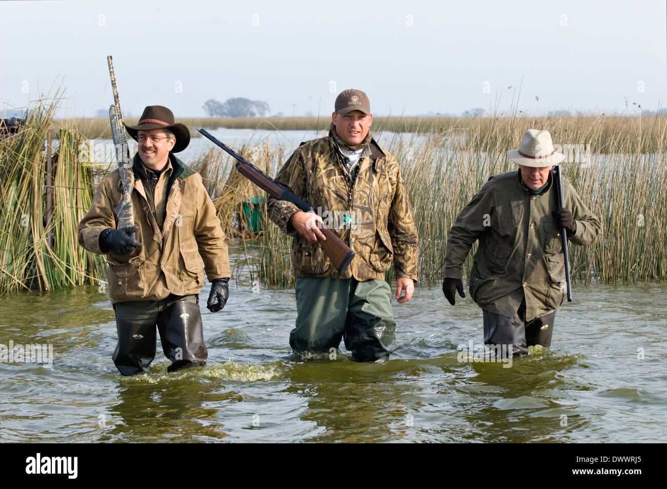 Three Duck Hunters Leaving their Blind afetr Morning Hunt at Jacana ...