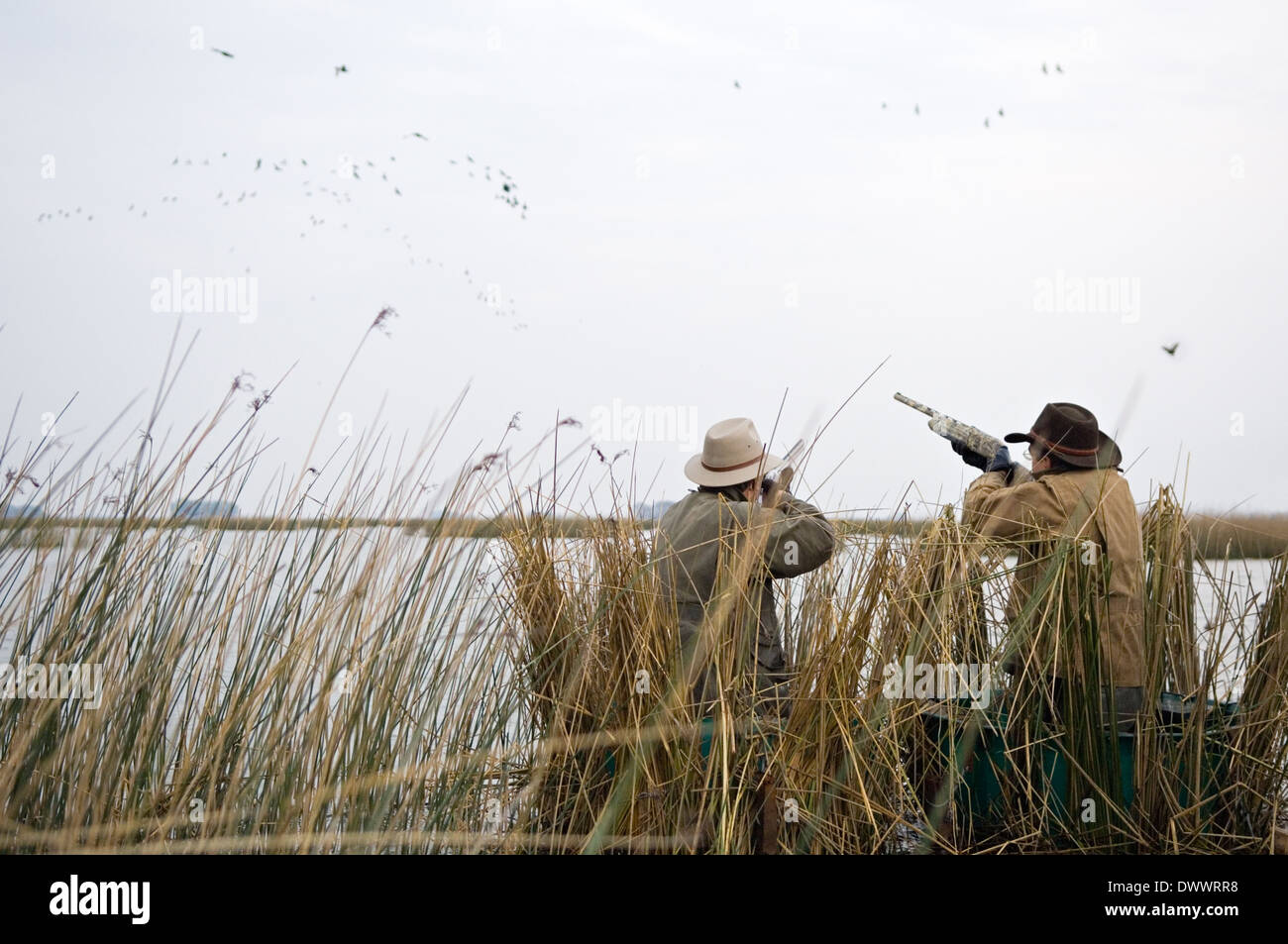 Two duck hunters hi-res stock photography and images - Alamy