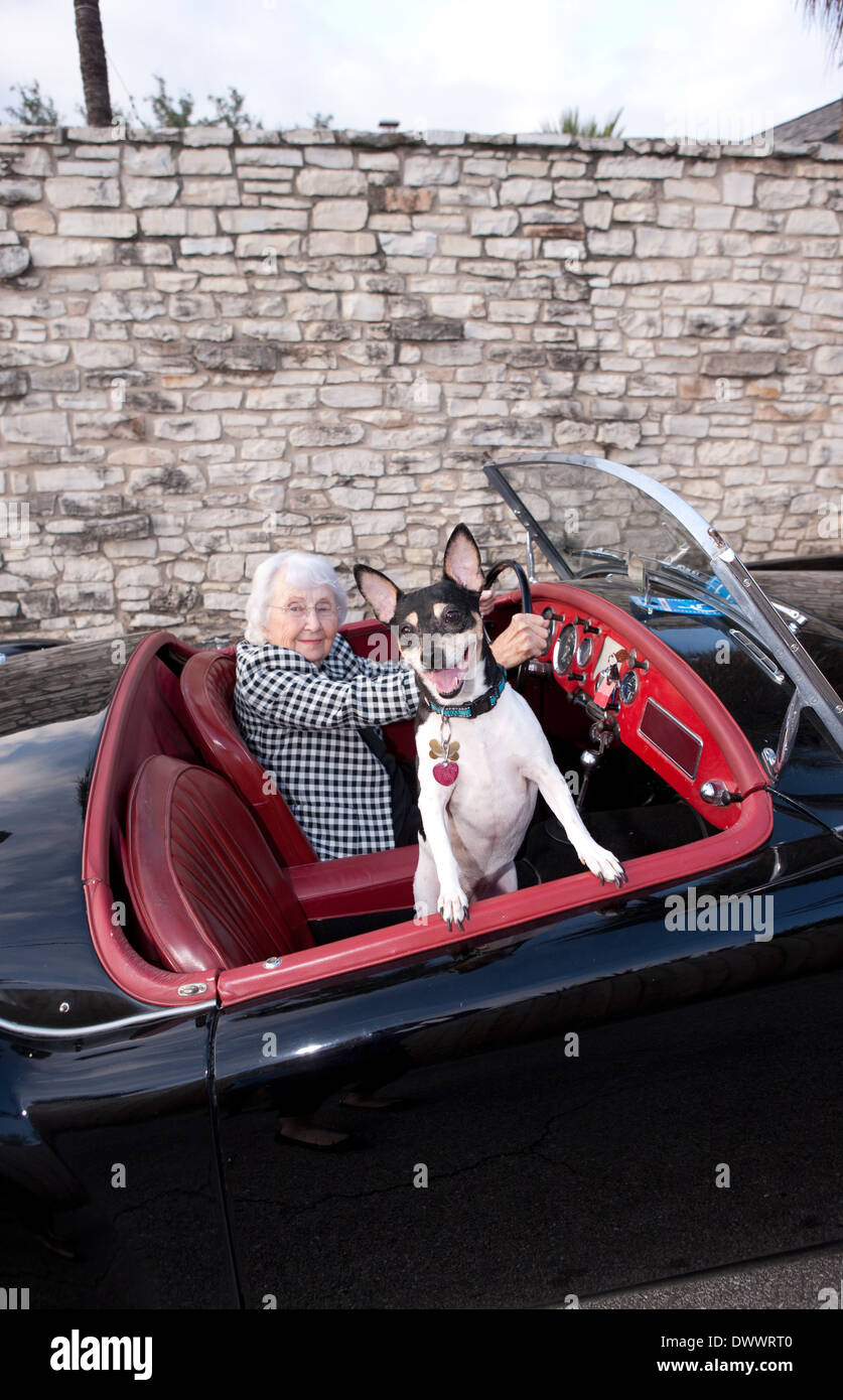 Behind wheel of car hi-res stock photography and images - Alamy