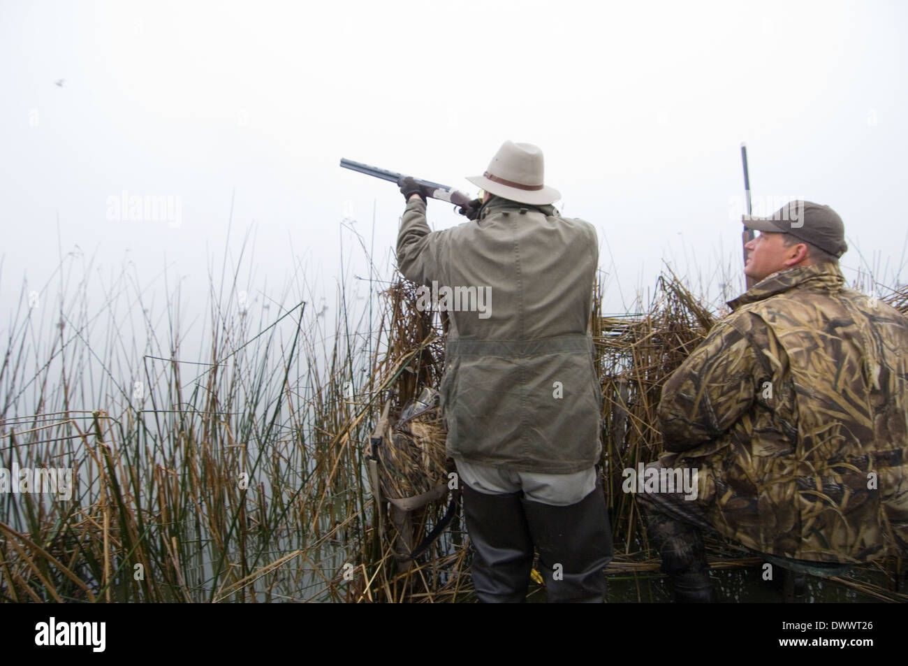 Two duck hunters hi-res stock photography and images - Alamy