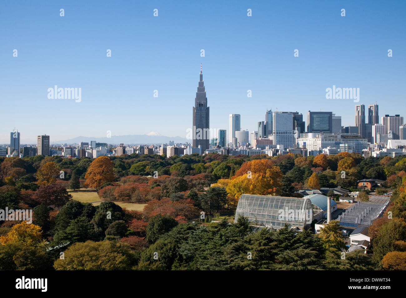 Shinjuku gyoen, tokyo, japan hi-res stock photography and images - Alamy