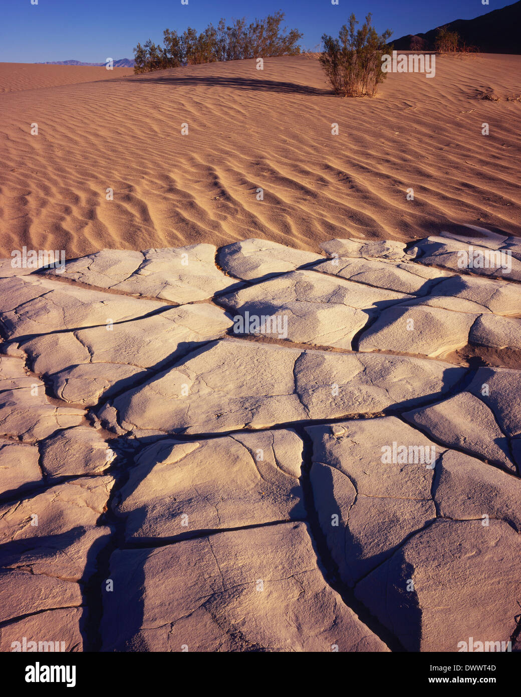 Cracked Mud & Sand Ripples #1 Stock Photo - Alamy