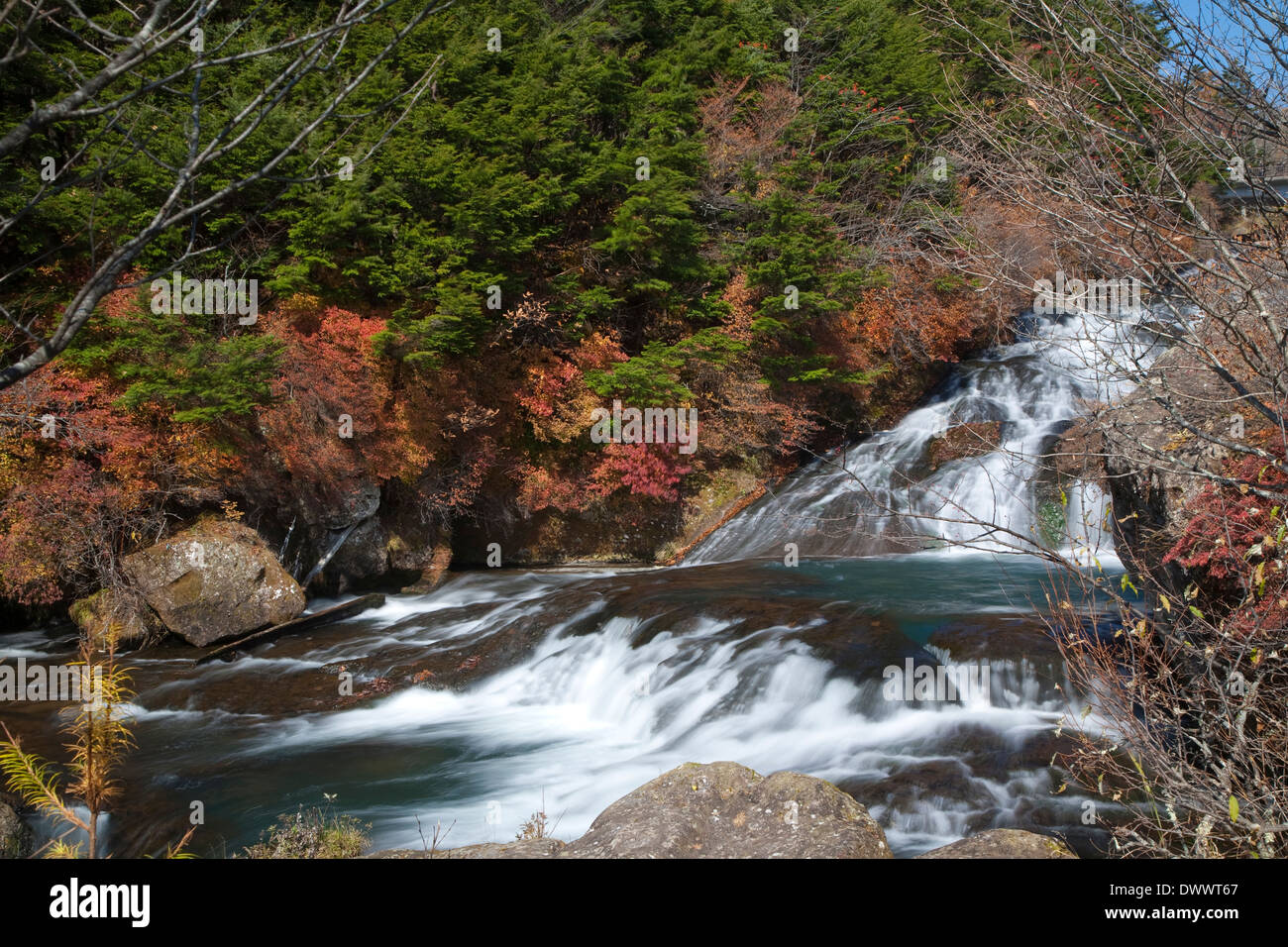 Waterfall and autumn leaves, Tochigi, Japan Stock Photo - Alamy