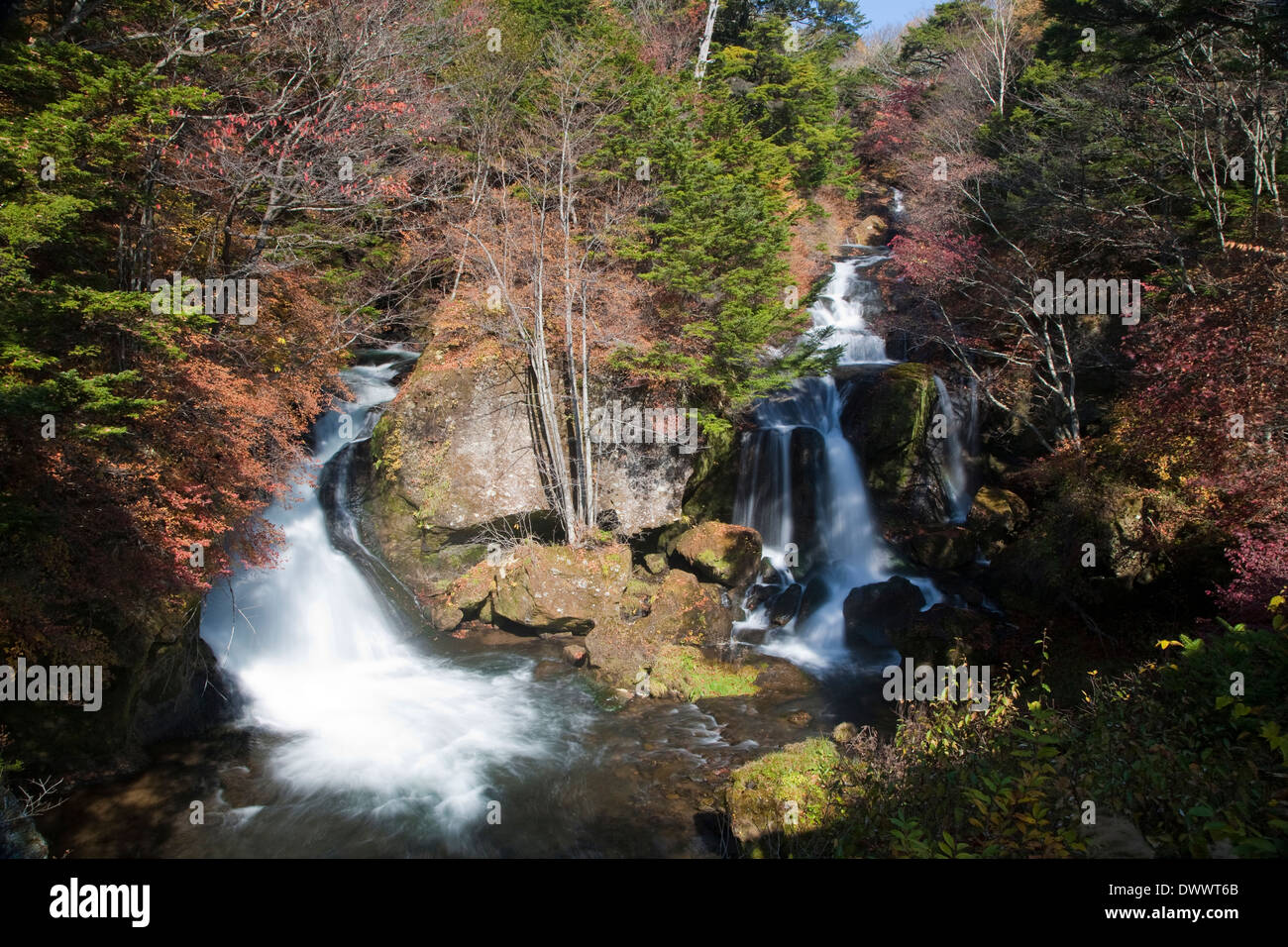 Waterfall and autumn leaves, Tochigi, Japan Stock Photo - Alamy