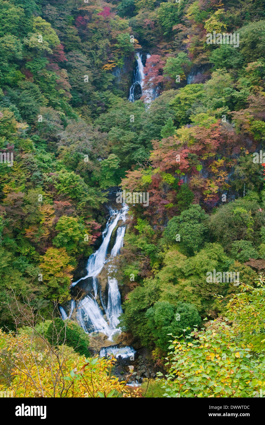 Tochigi hi-res stock photography and images - Alamy