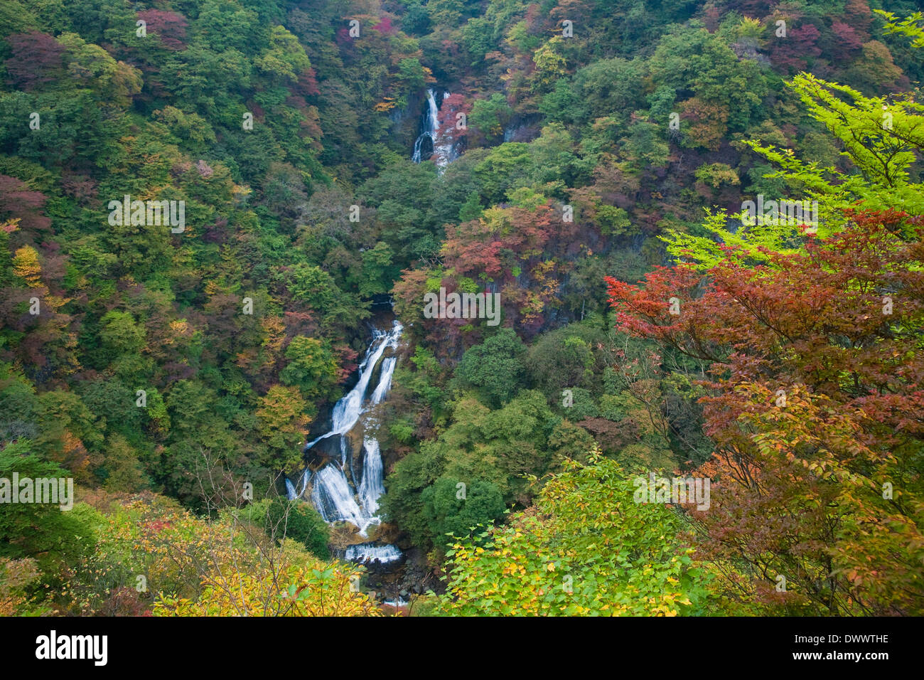 Autumn in nikko hi-res stock photography and images - Alamy