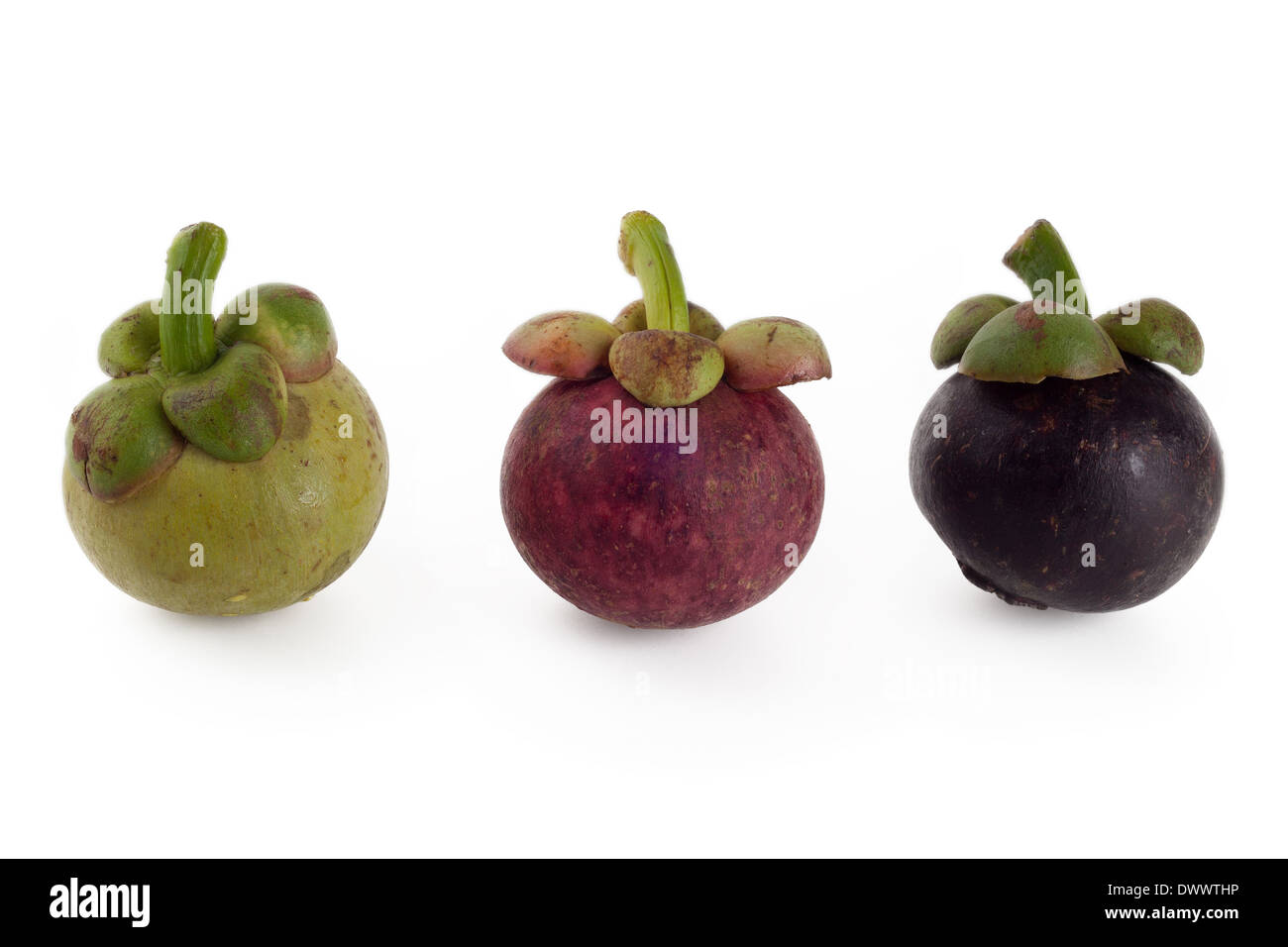 Mangosteen tropical fruits Stock Photo - Alamy