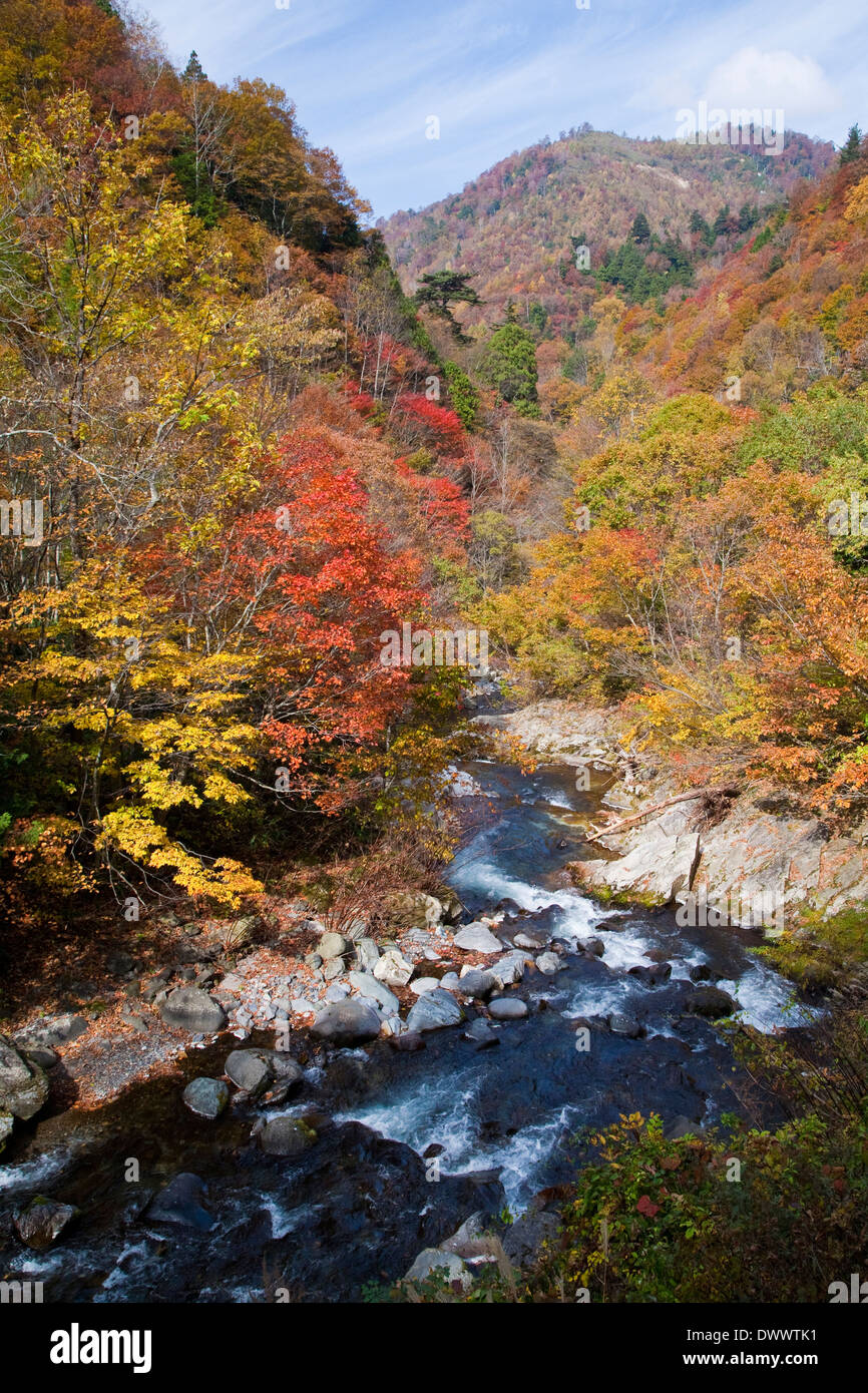 Autumn foliage in nikko japan hi-res stock photography and images - Alamy