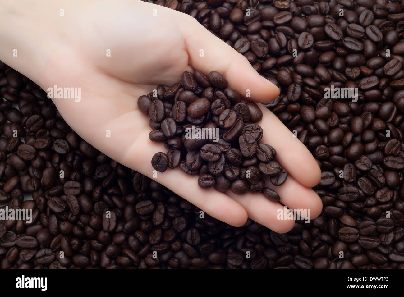 Coffee beans on hand Stock Photo - Alamy