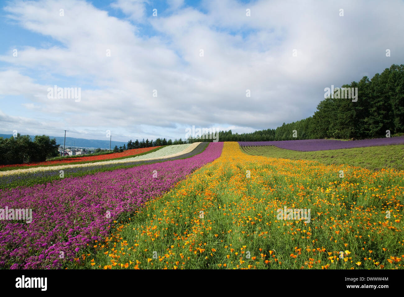 Farm tomita hi-res stock photography and images - Alamy