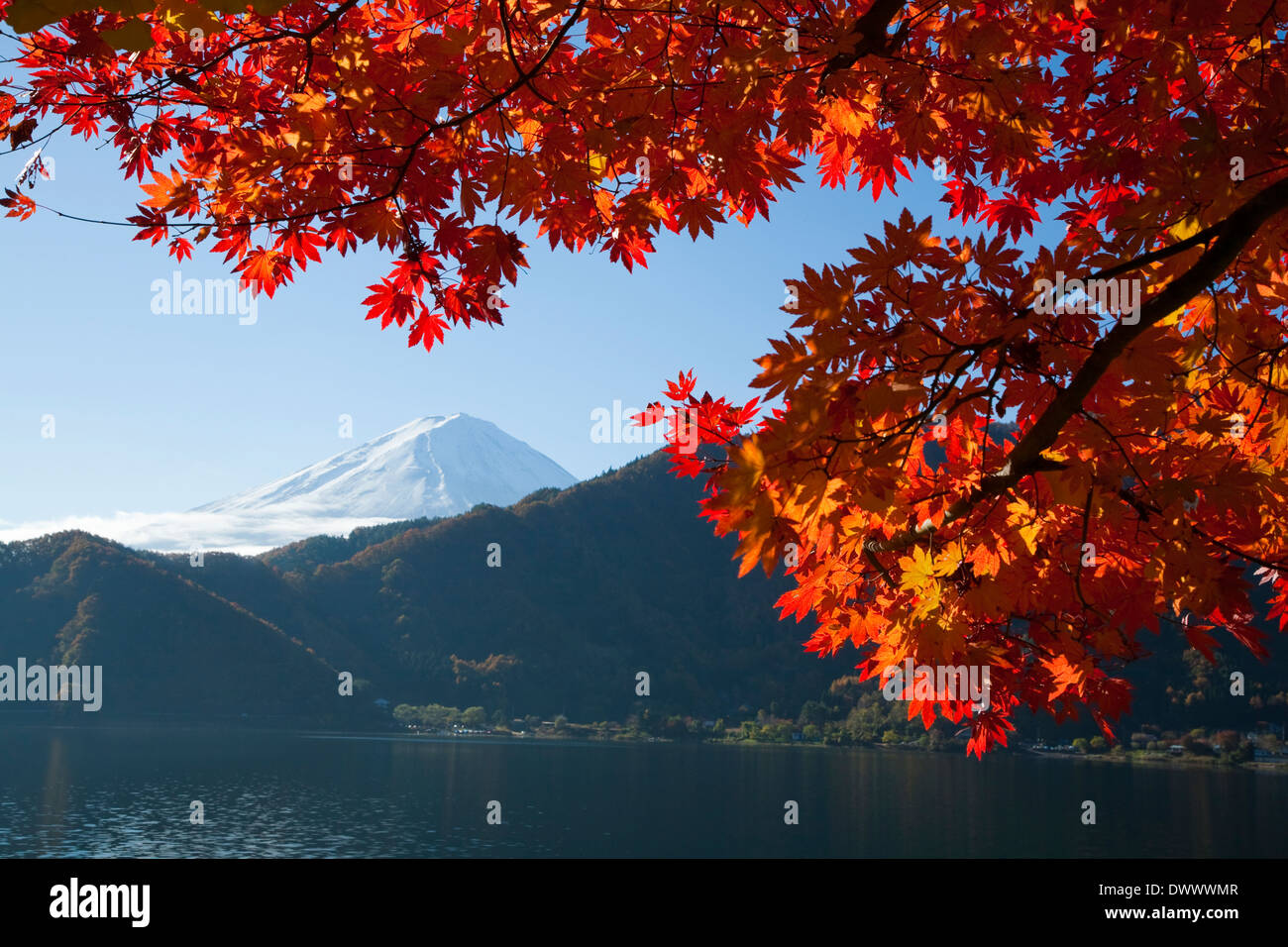 Saiko hi-res stock photography and images - Alamy