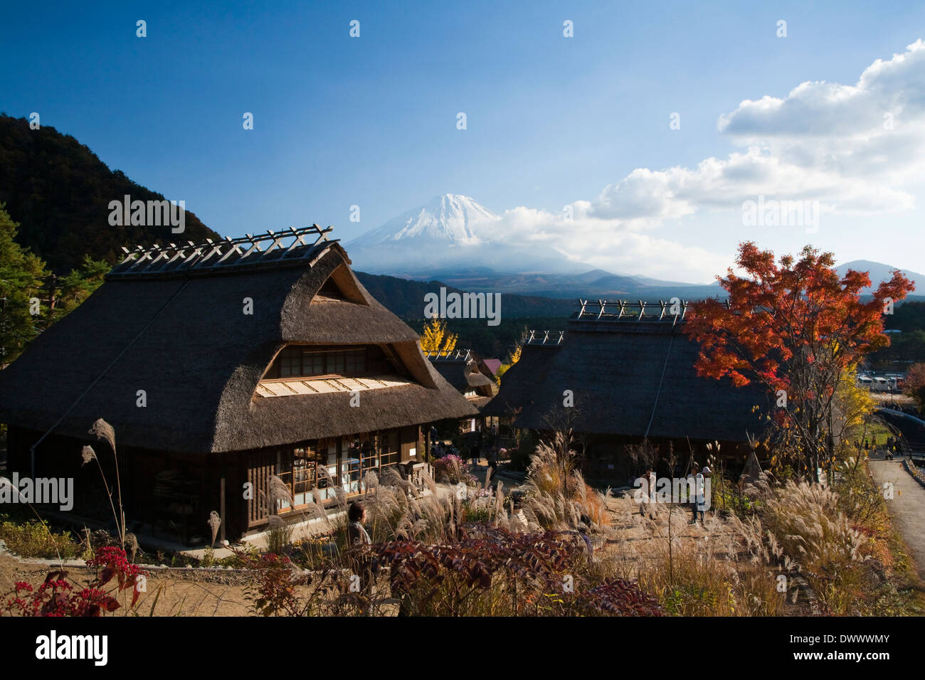 Traditional japanese thatched house hi-res stock photography and images ...