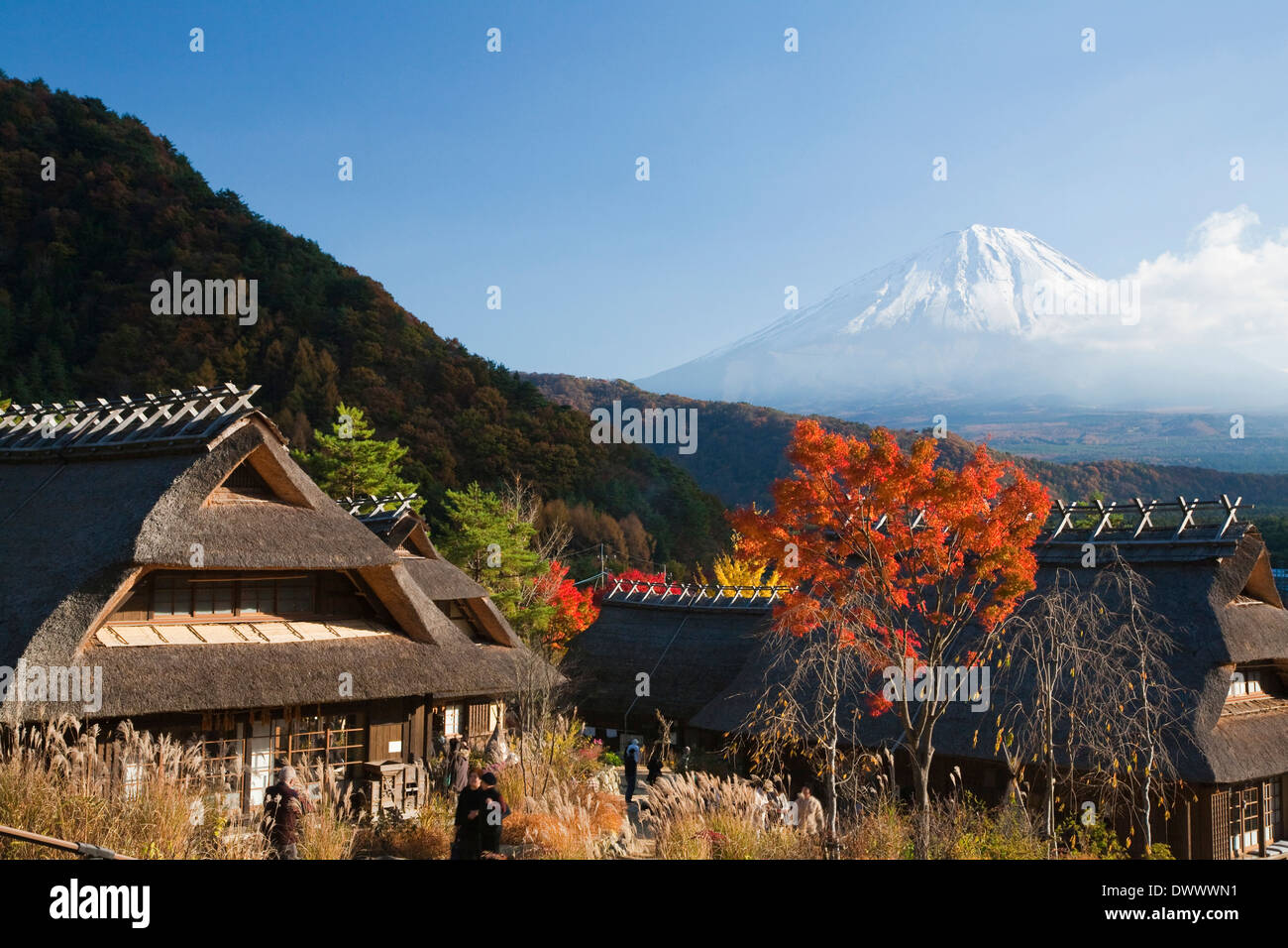 Traditional japanese thatched house hi-res stock photography and images ...