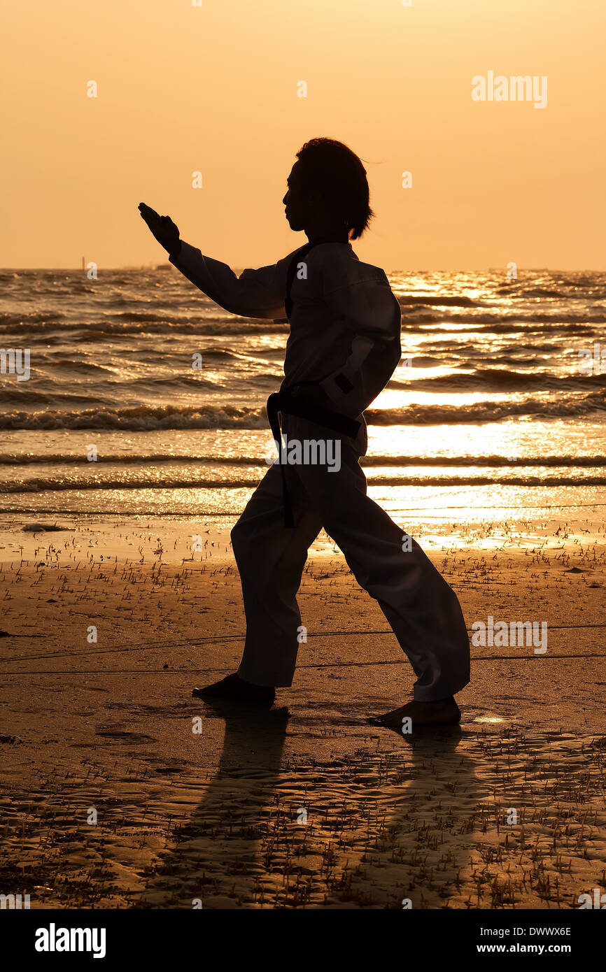 Matial arts traning of taekwondo man in silhouette Stock Photo - Alamy