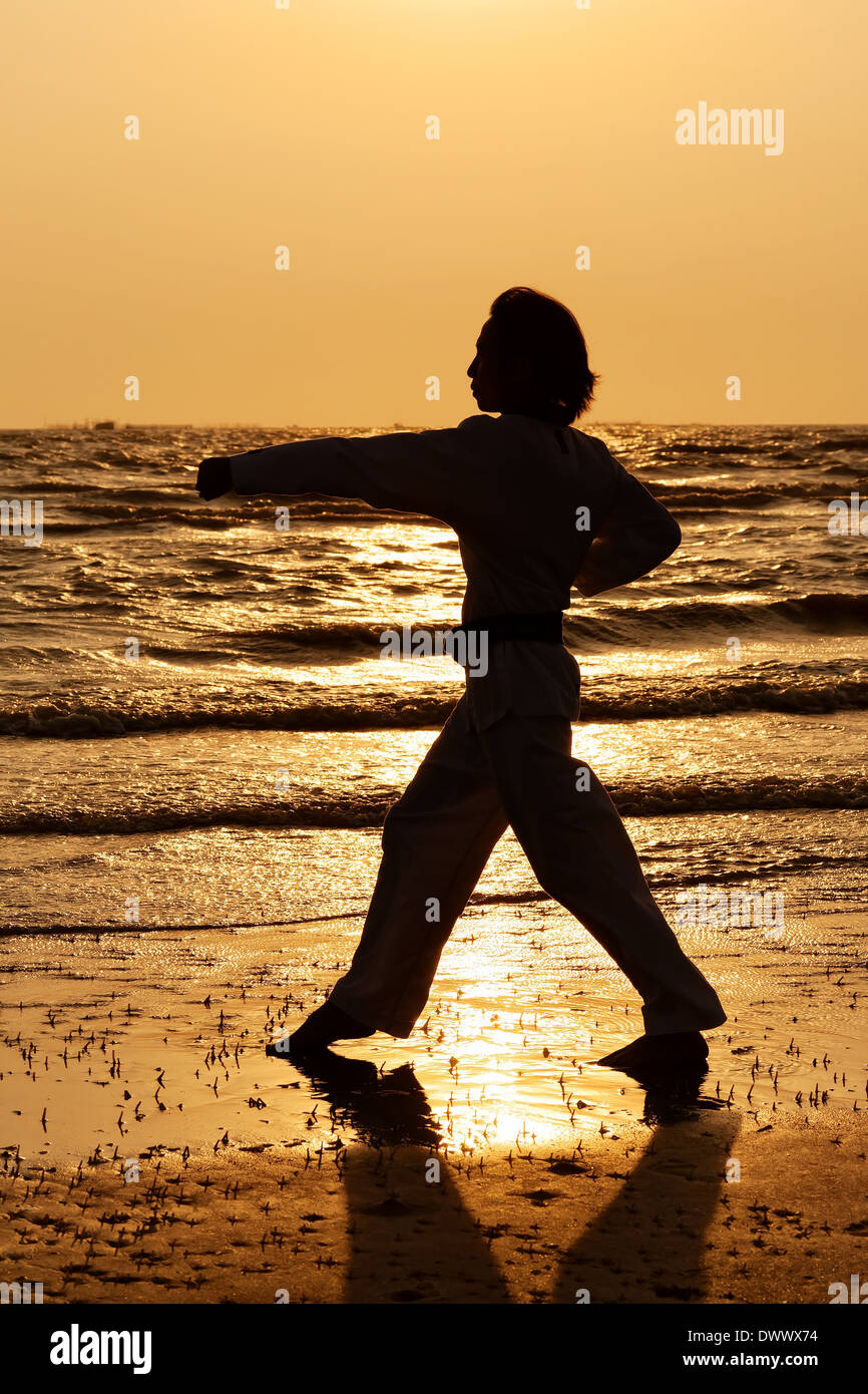 Martial arts traning of taekwondo man in silhouette Stock Photo - Alamy