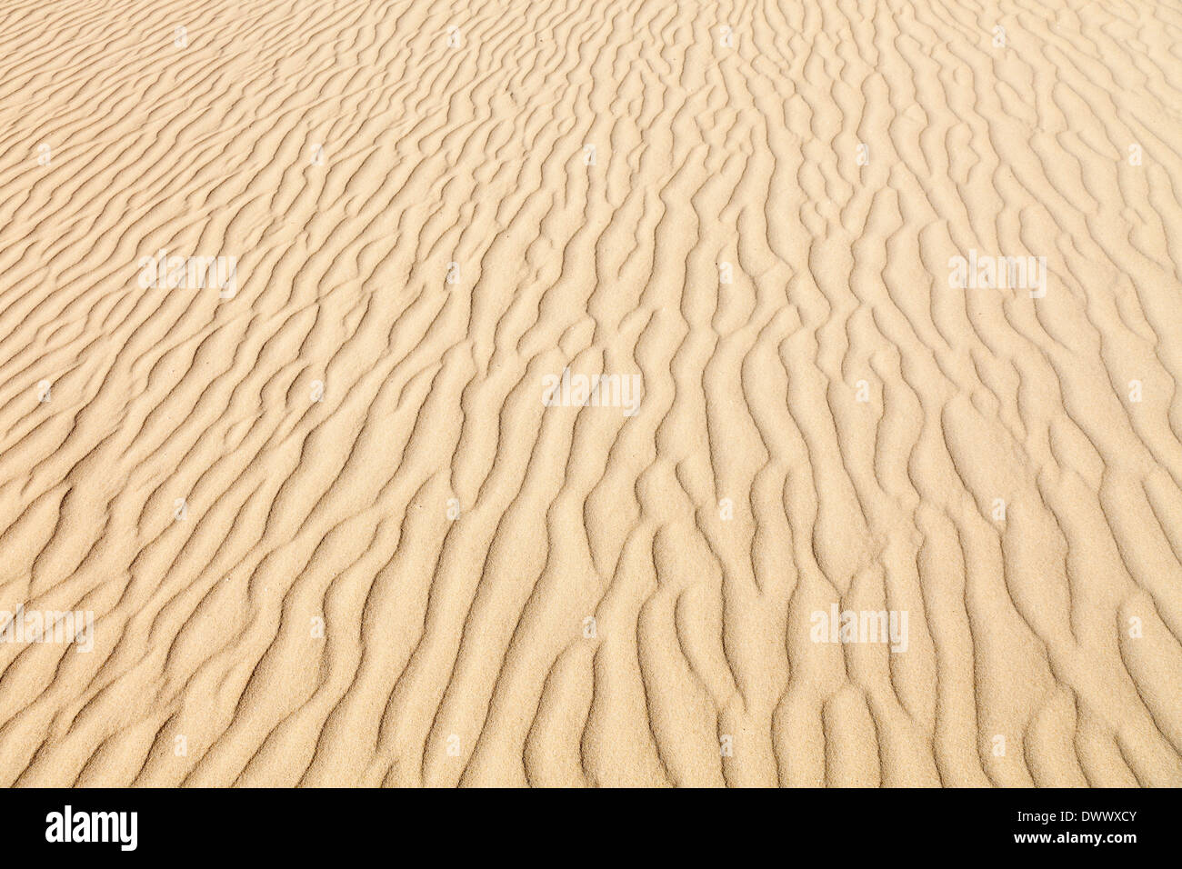Sand dune waves desert hi-res stock photography and images - Alamy
