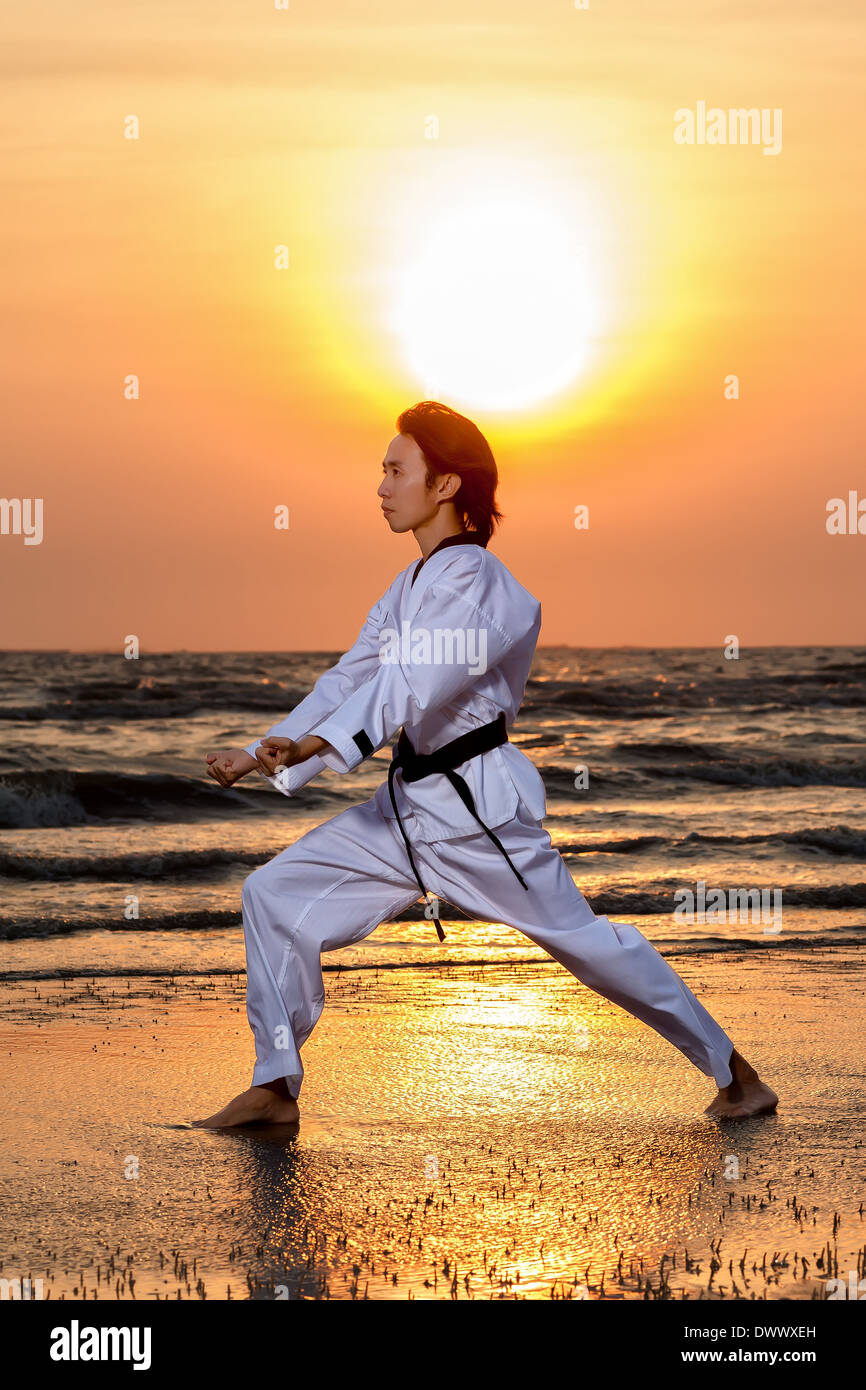 Body martial arts hi-res stock photography and images - Alamy