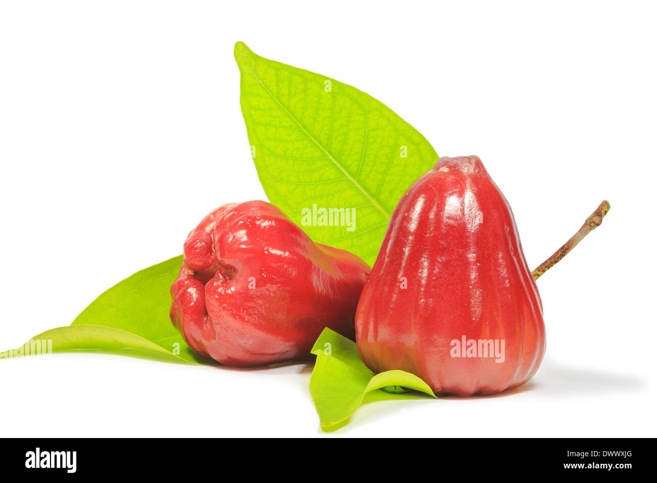 Apple and leaf hi-res stock photography and images - Alamy