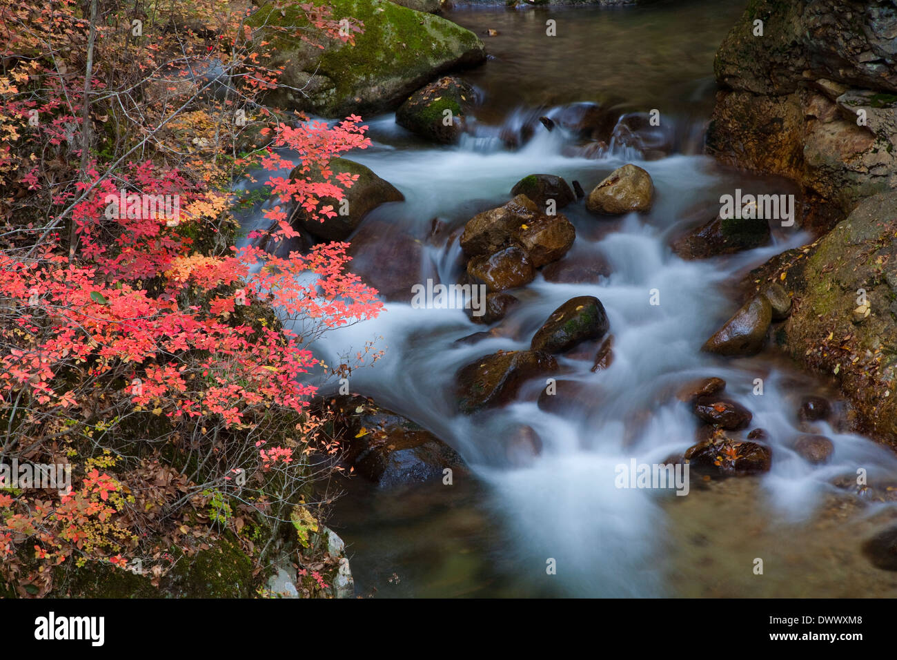 River flowing through Masutomi Hot Springs, Yamanashi, Japan Stock ...