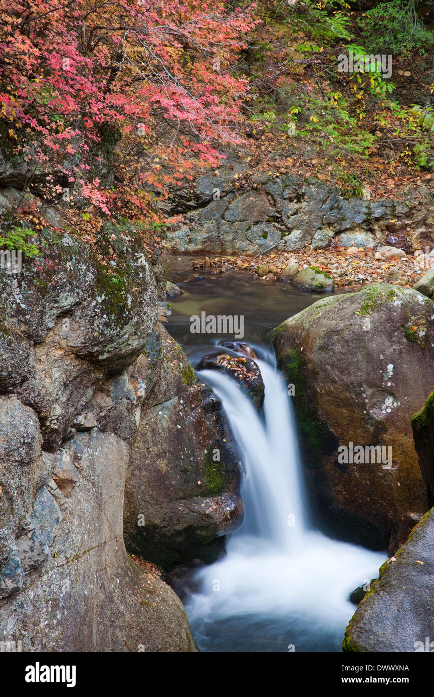 River flowing through Masutomi Hot Springs, Yamanashi, Japan Stock ...