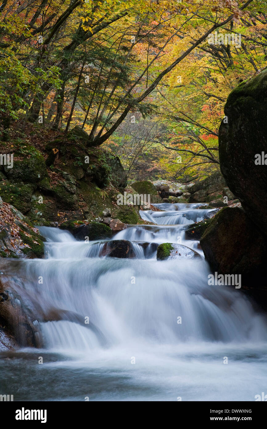 River flowing through Masutomi Hot Springs, Yamanashi, Japan Stock ...