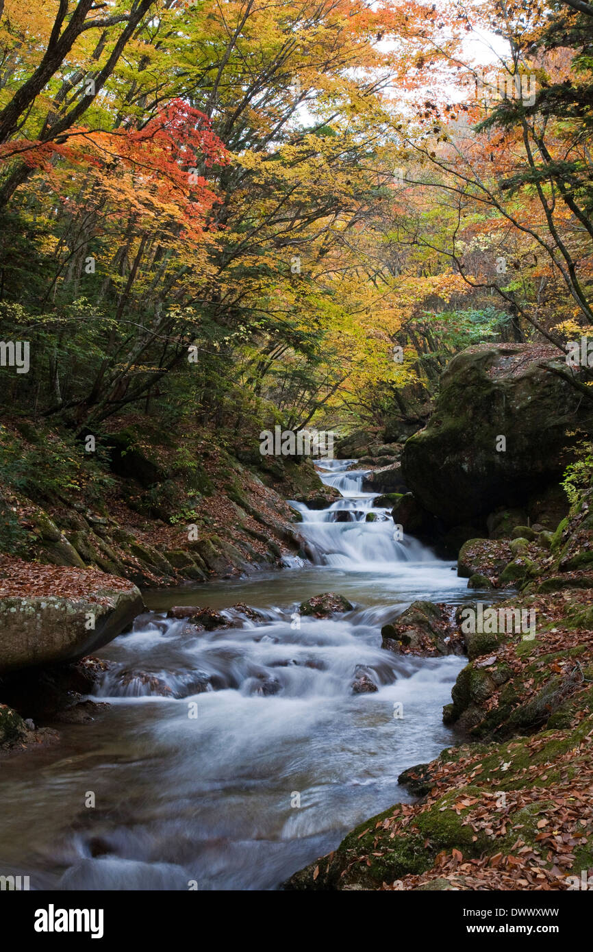 River flowing through Masutomi Hot Springs, Yamanashi, Japan Stock ...