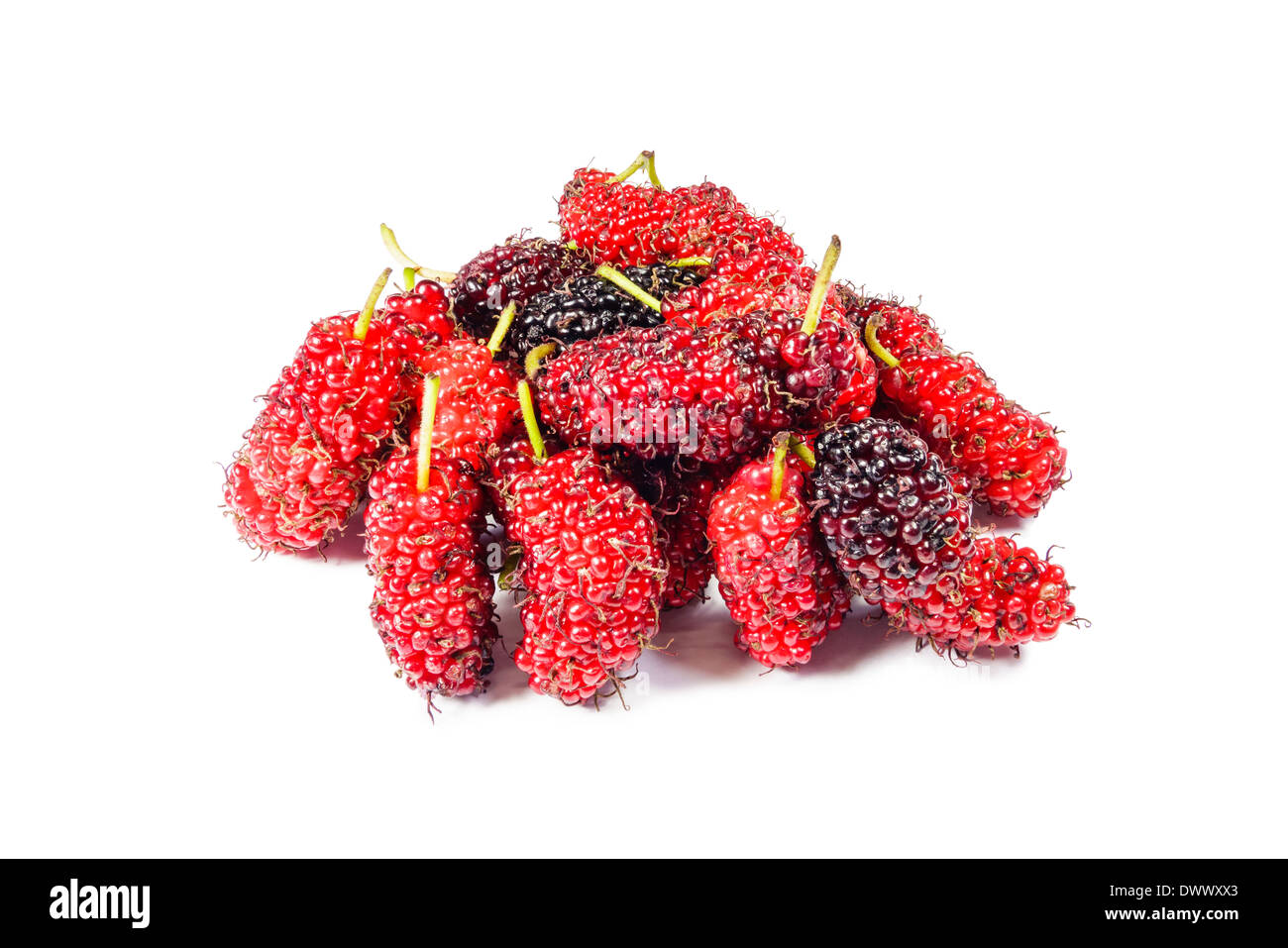Pile of mulberry isolated on white background Stock Photo - Alamy