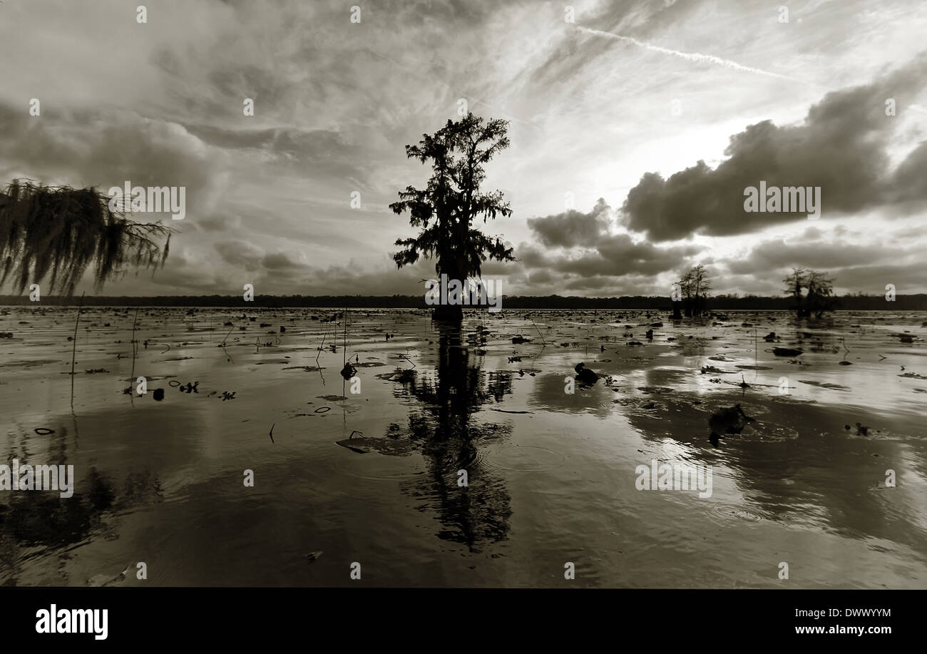 Louisiana bayou sunset hi-res stock photography and images - Alamy
