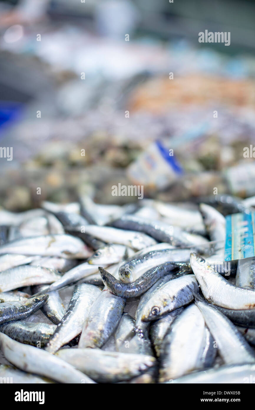 Displayed western hi-res stock photography and images - Alamy