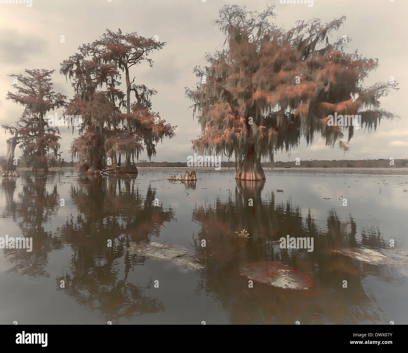 Louisiana bayou sunset hi-res stock photography and images - Alamy