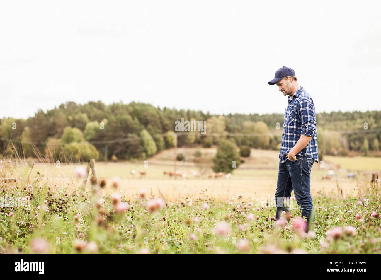 Side view of mid adult farmer walking on field Stock Photo - Alamy