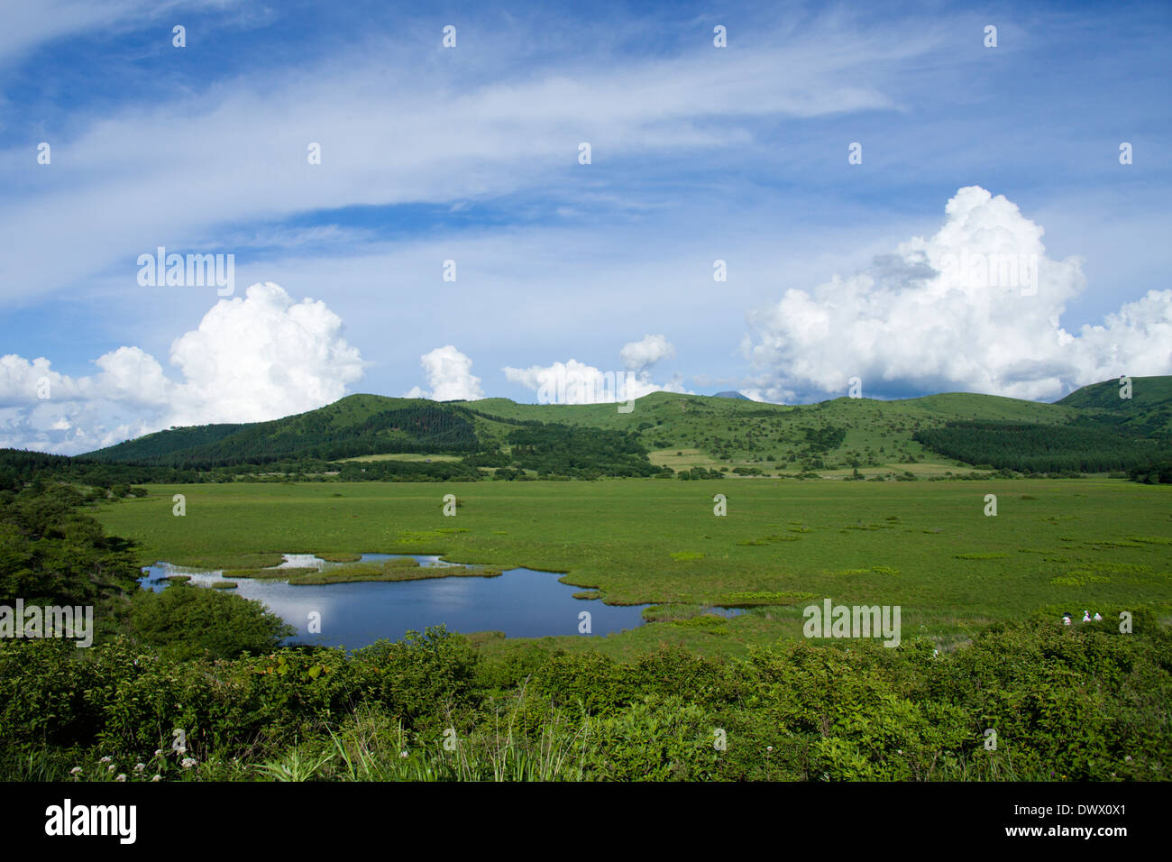 Yashimagahara Swamp, Nagano, Japan Stock Photo - Alamy