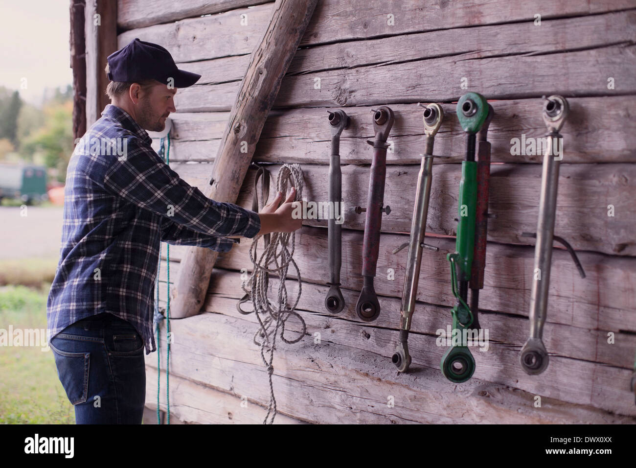 Side view of farmer arranging rope in barn Stock Photo - Alamy