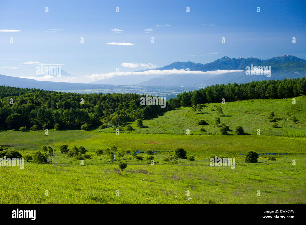 Yashimagahara Swamp, Nagano, Japan Stock Photo - Alamy