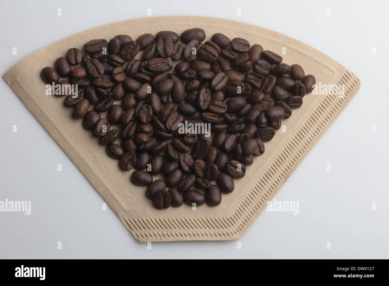 Coffee beans and filter paper Pictured 21.01.2014 Stock Photo - Alamy