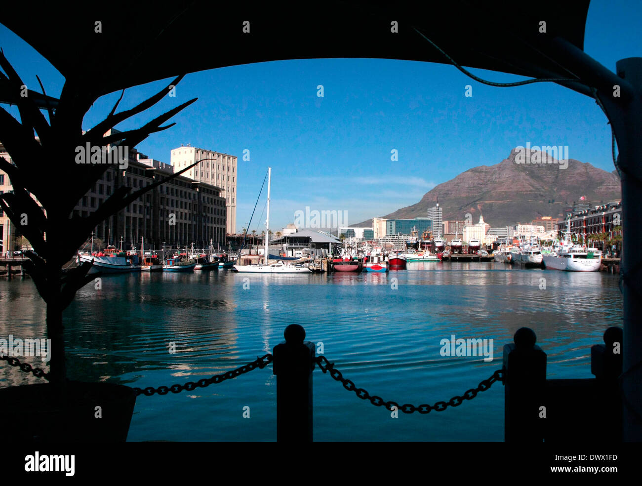Cape town Harbour framed in the shade of the jetty Stock Photo - Alamy