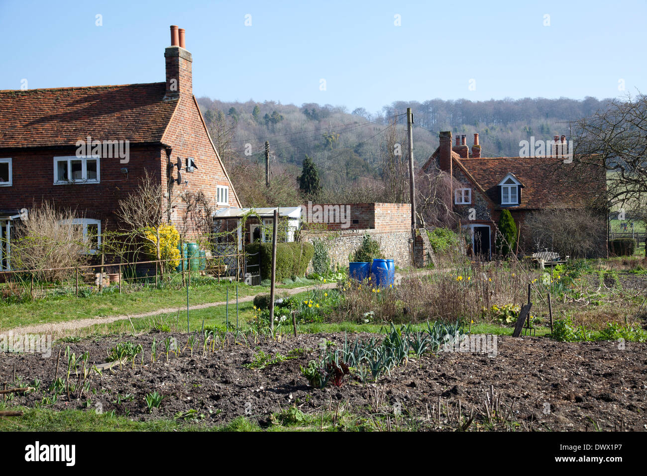 Hambleden Village Allotment in Buckinghamshire in UK Stock Photo - Alamy