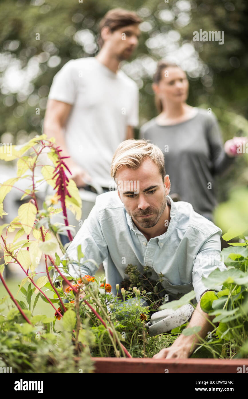 Man stood in garden hi-res stock photography and images - Alamy