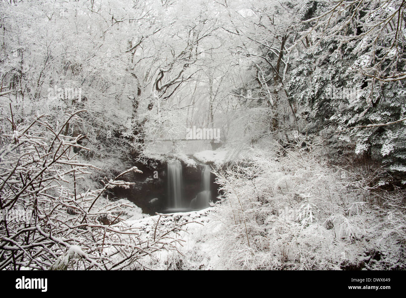 Kaneyama hi-res stock photography and images - Alamy