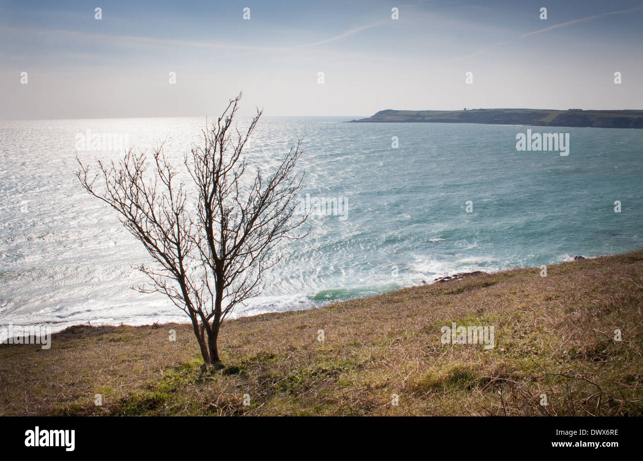 The sea from the coast path, near the Helford estuary Cornwall, England ...