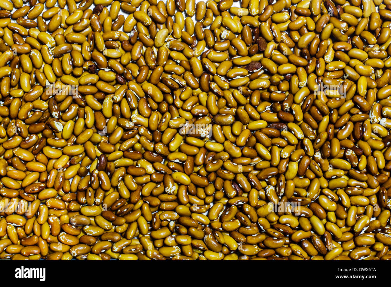 Shelly beans hi-res stock photography and images - Alamy
