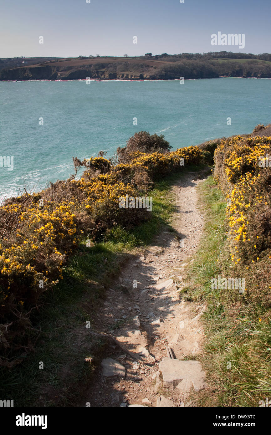 The sea from the coast path, near the Helford estuary Cornwall, England ...