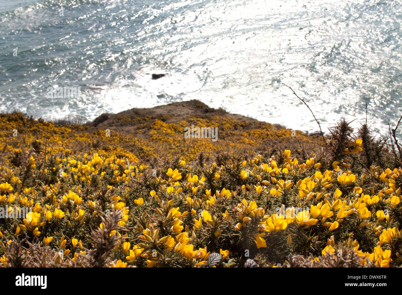 The sea from the coast path, near the Helford estuary Cornwall, England ...