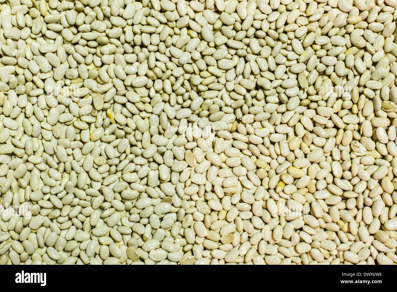 White common beans hi-res stock photography and images - Alamy