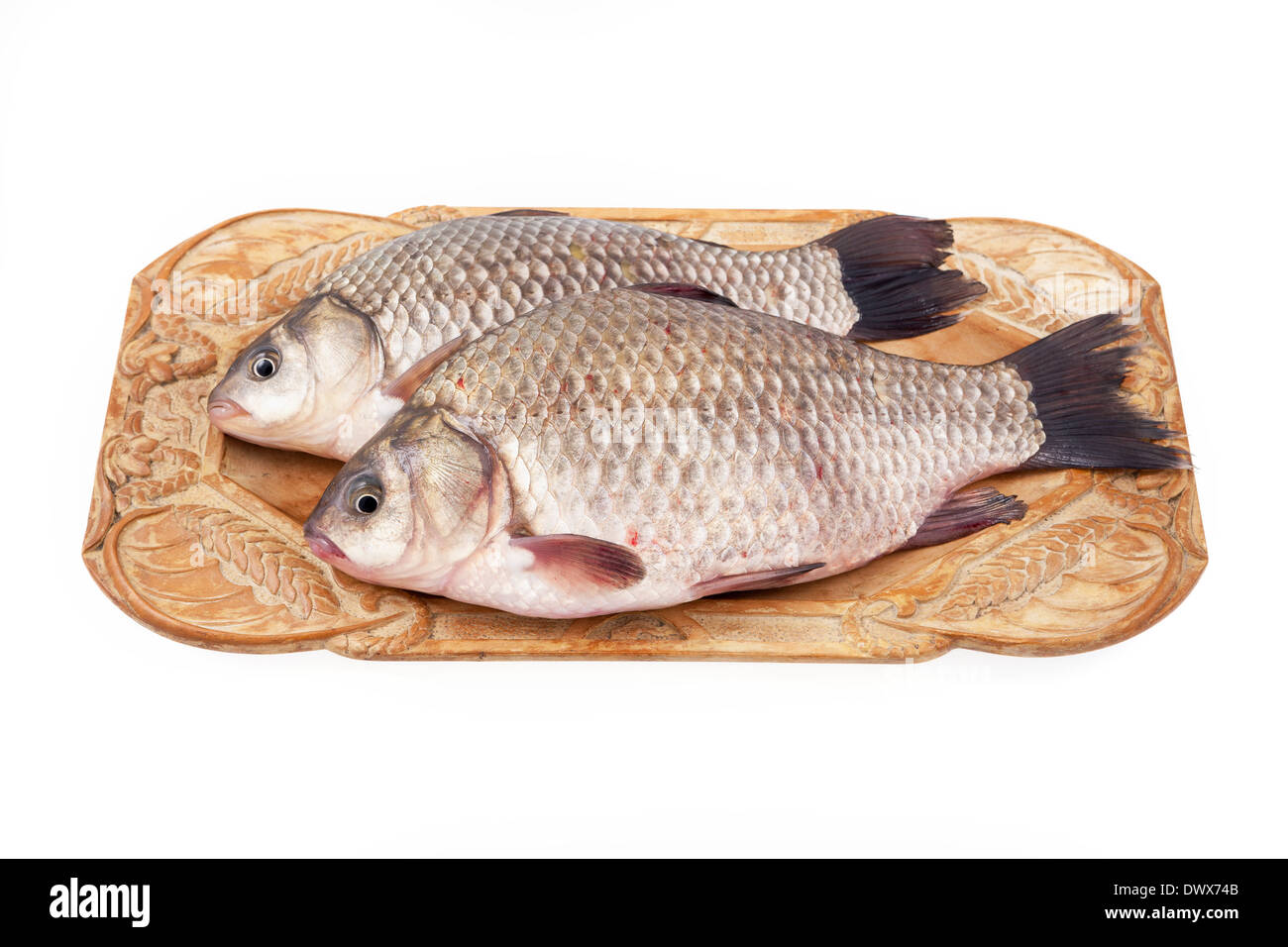 Freshwater river fish crucian carp hi-res stock photography and images ...