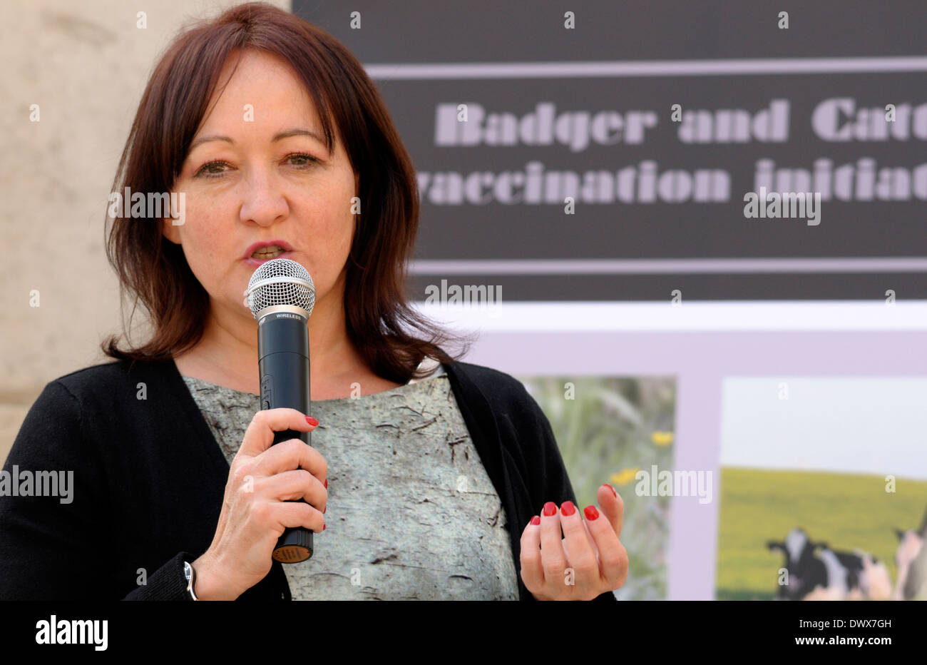 Kerry McCarthy MP (Bristol East, Labour) speaking at Anti badger cull ...